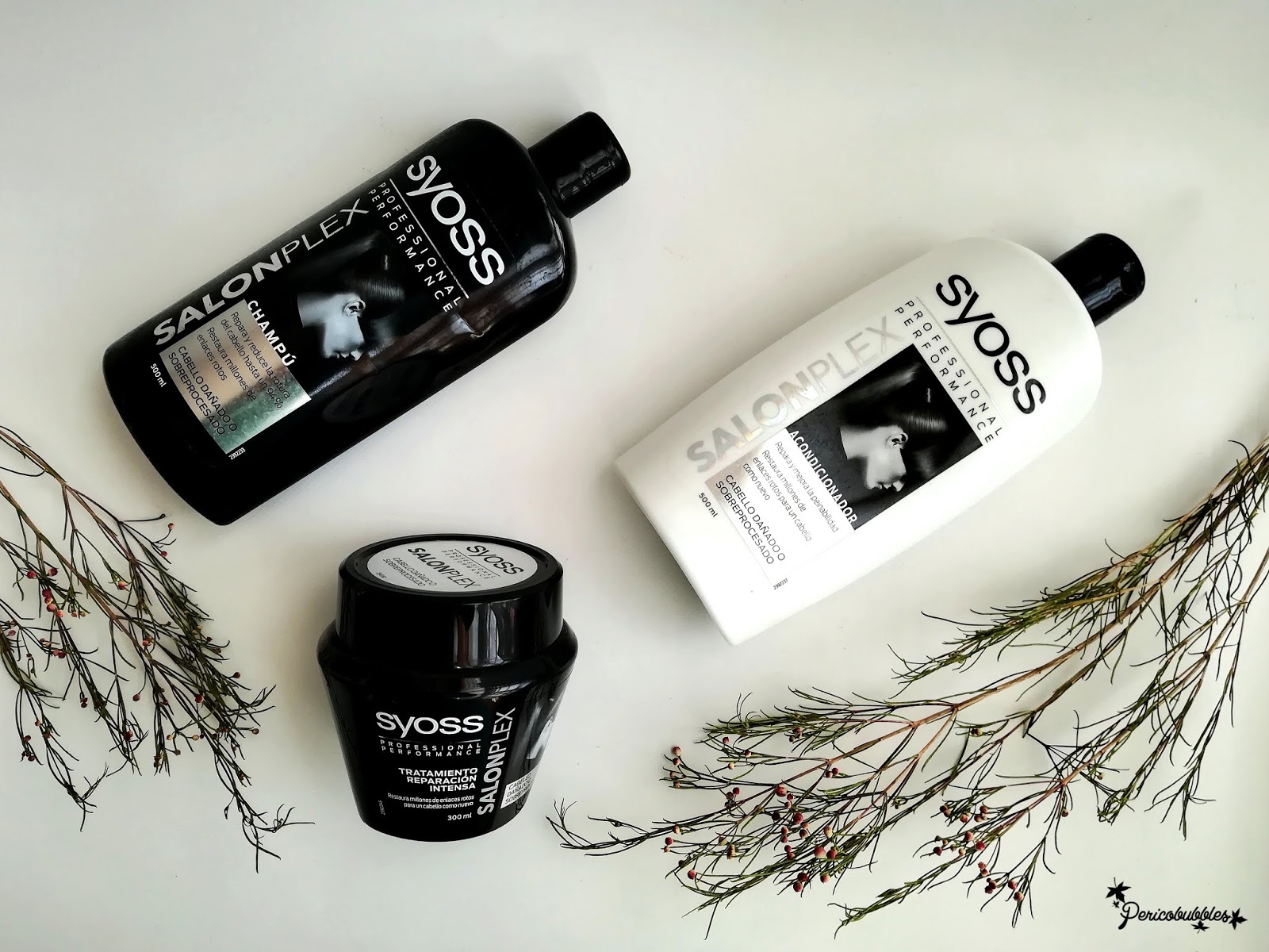 El cafe de bubbles: SalonPlex de Syoss