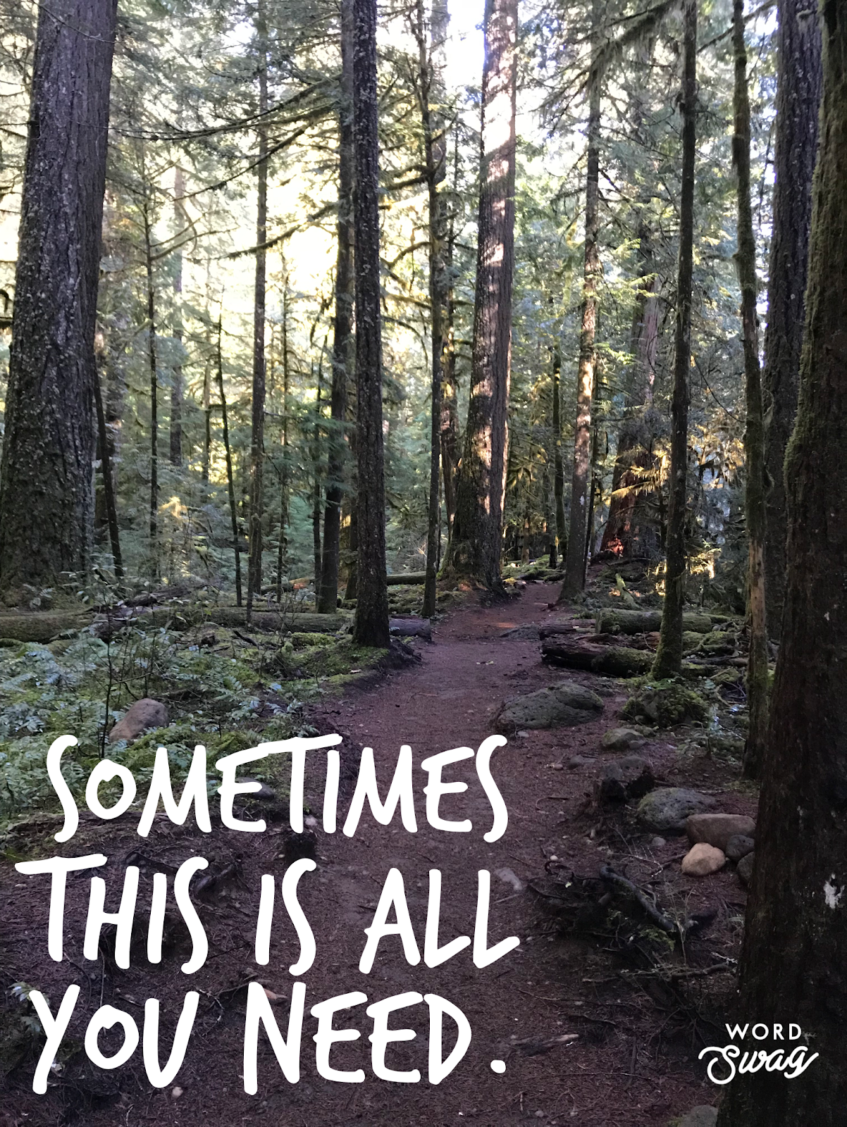 Running in Place.....and getting nowhere fast!