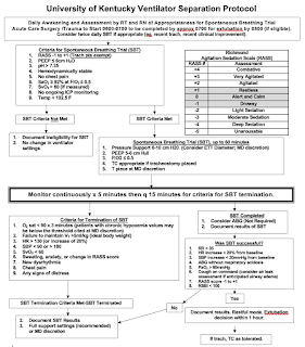 UK Trauma Protocol Manual: Vent Separation Guideline/Daily Awakening ...