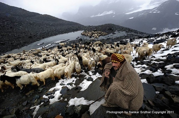 Trekking and Photography in the Himalaya: Sankar Sridhar: Journey with ...