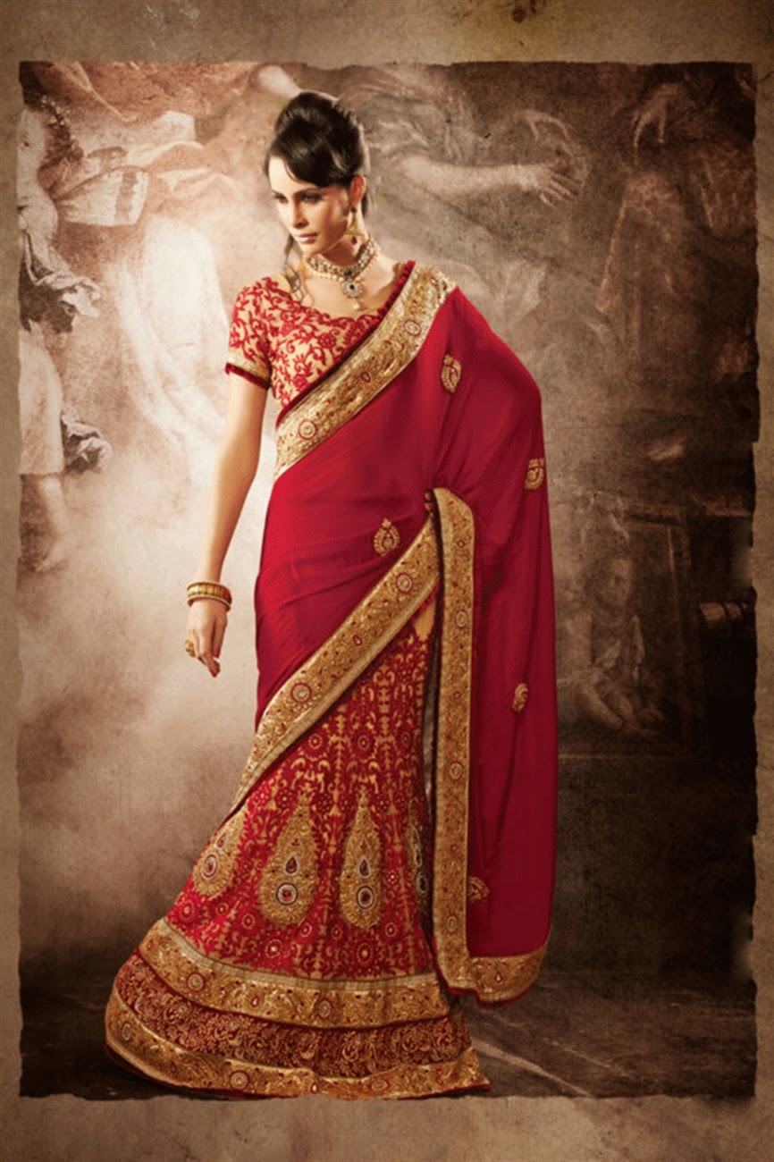 Traditional Indian Clothing Sari