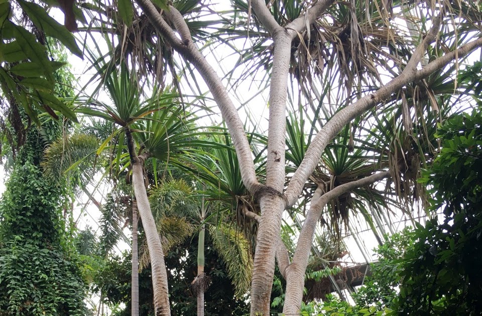 ROADSIDE IKEBANA: TEN YEARS ON