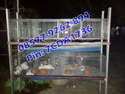 Cara Membuat Kandang Kelinci: Jual Kandang Kelinci