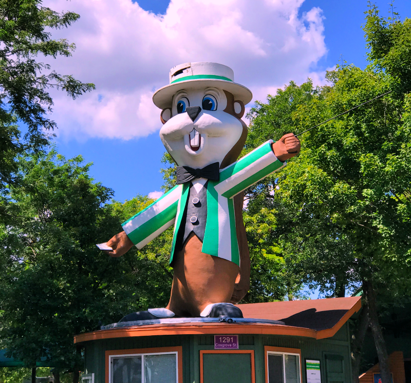 Discount State Fair Tickets Cub Foods