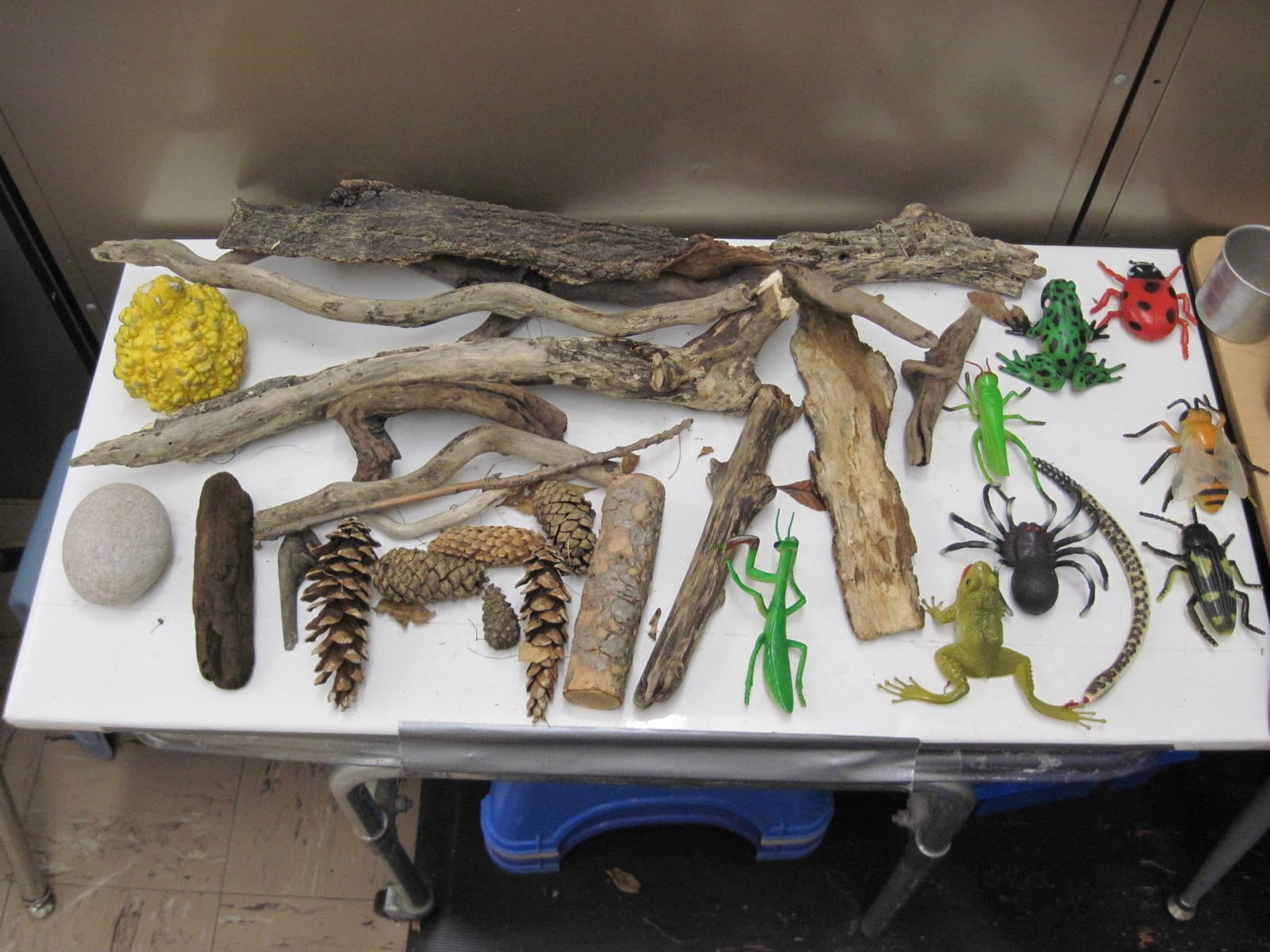 SAND AND WATER TABLES: SWAMP II