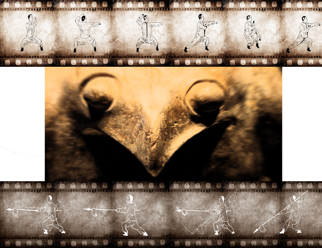 Eagle Claw Library 1987 Kung Fu Video Of Eagle Claw Library 1987 Kung Fu Video Of