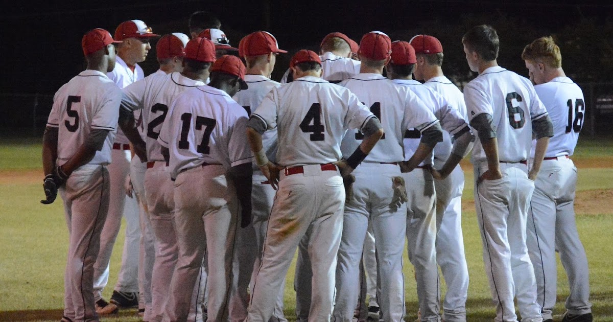 Terrell Daily Photo: Baseball season is over for the Tigers