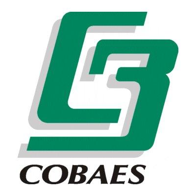 COBAES INCLUSIVO