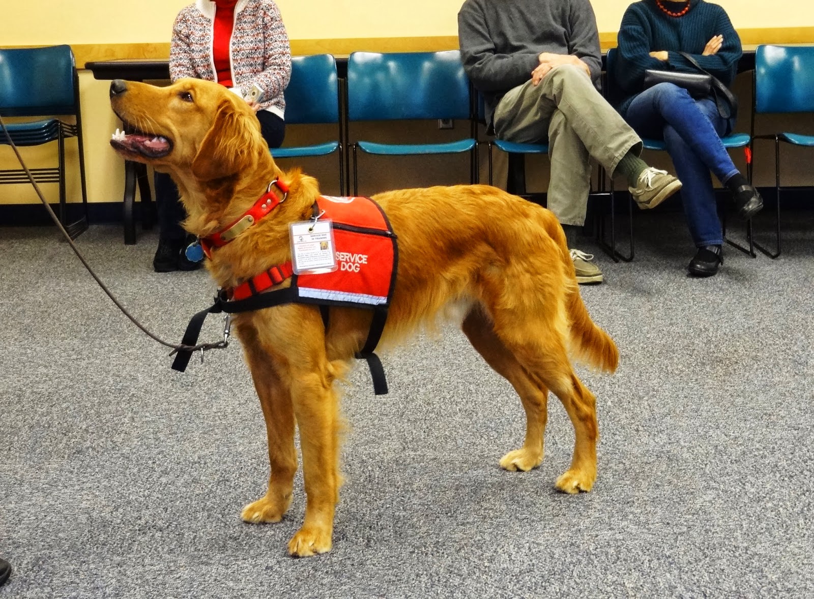 Live and Learn-Toss and Turn: 11/01/2013 - 12/01/2013