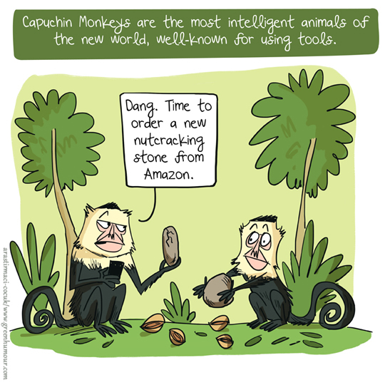 Green Humour: Capuchin Monkey Cartoons