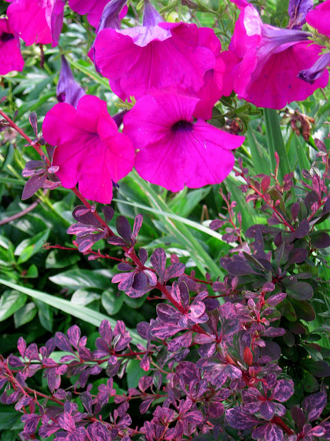 Lavender Garden Cottage: Cottage Style Party #50