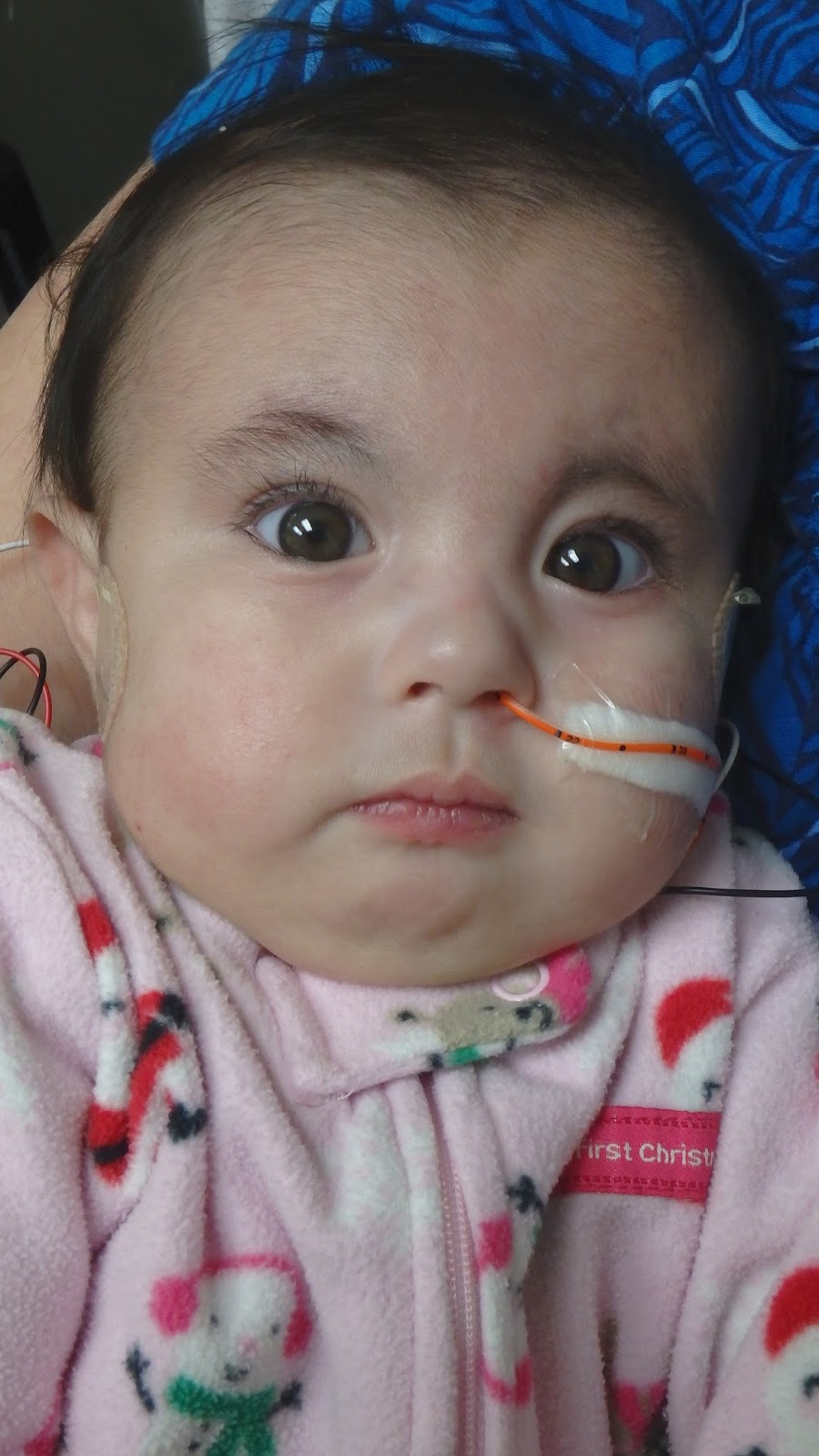 Love for Everly: Team Everly