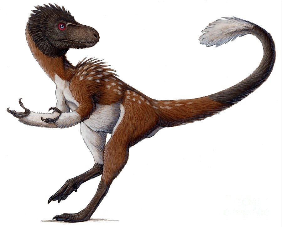 Curiosidades jurássicas: Tyrannosaurus rex, o rei tirano Curiosidades jurássicas: Tyrannosaurus rex, o rei tirano