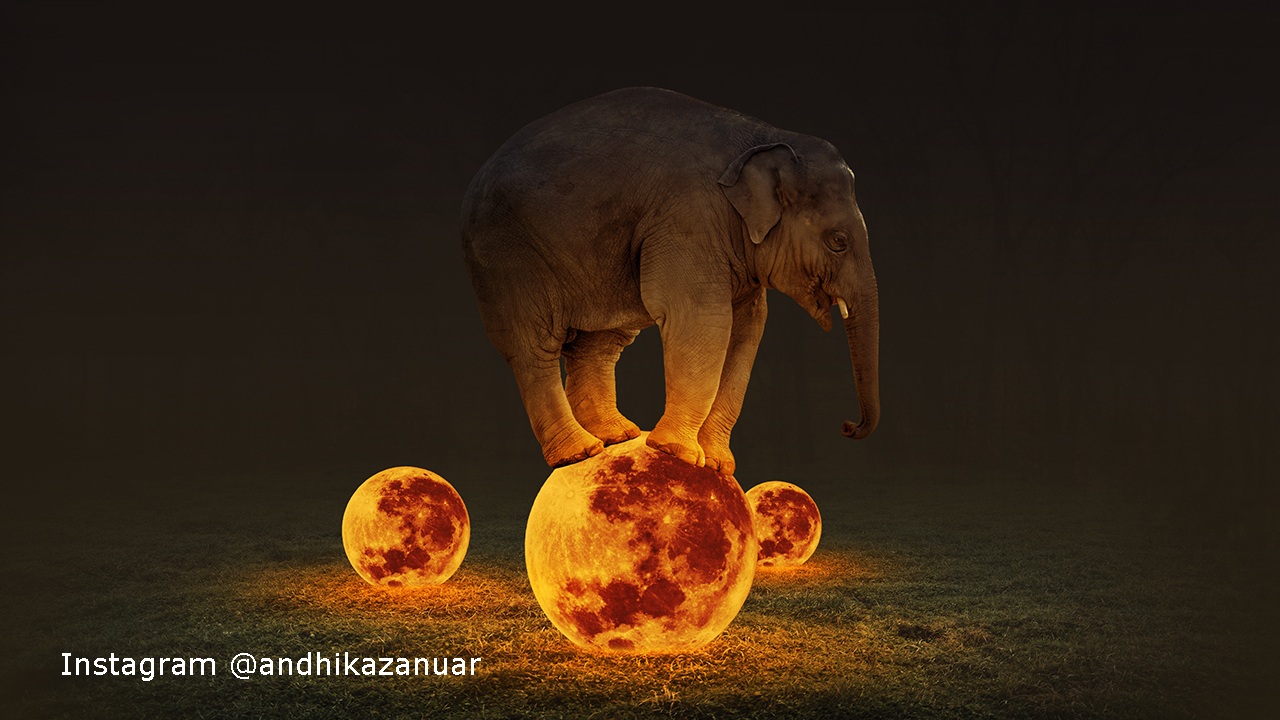 Photoshop Manipulation Effects - Surreal Elephant - zanuara.com