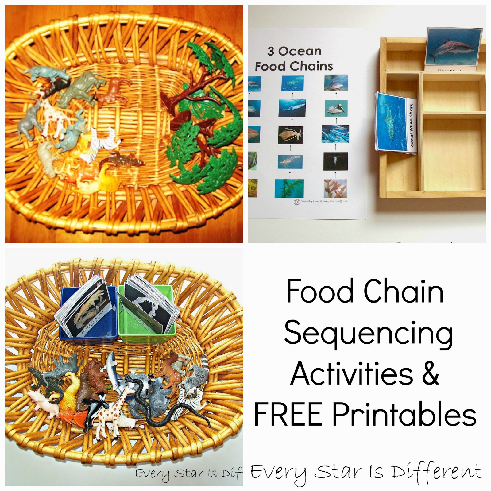 Montessori-inspired Sequencing Activities & FREE Printables (KLP Linky ...