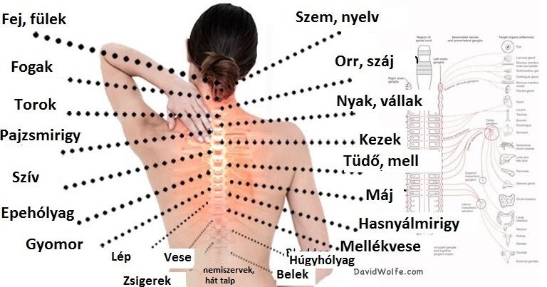 BODICO Szépségklub: A fájdalom igazi oka: Az, hogy hogyan kapcsolódik a ...