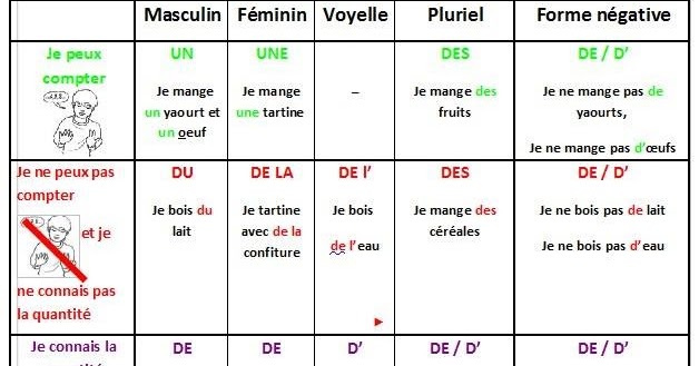Apprenons le français : Expression de la quantité