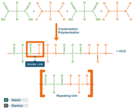 savvy-chemist: Condensation Polymers (2) Polyamides