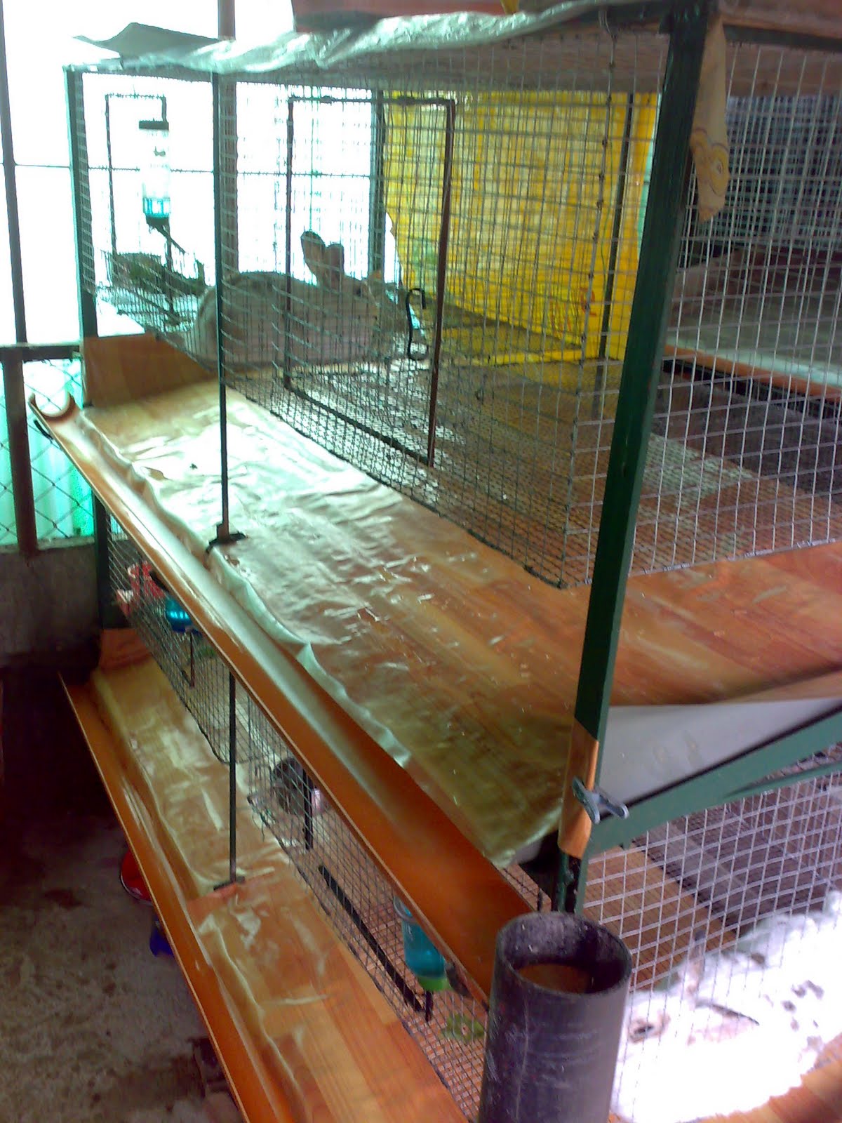 Raising Rabbits: Rabbit Housing: Middle Cages