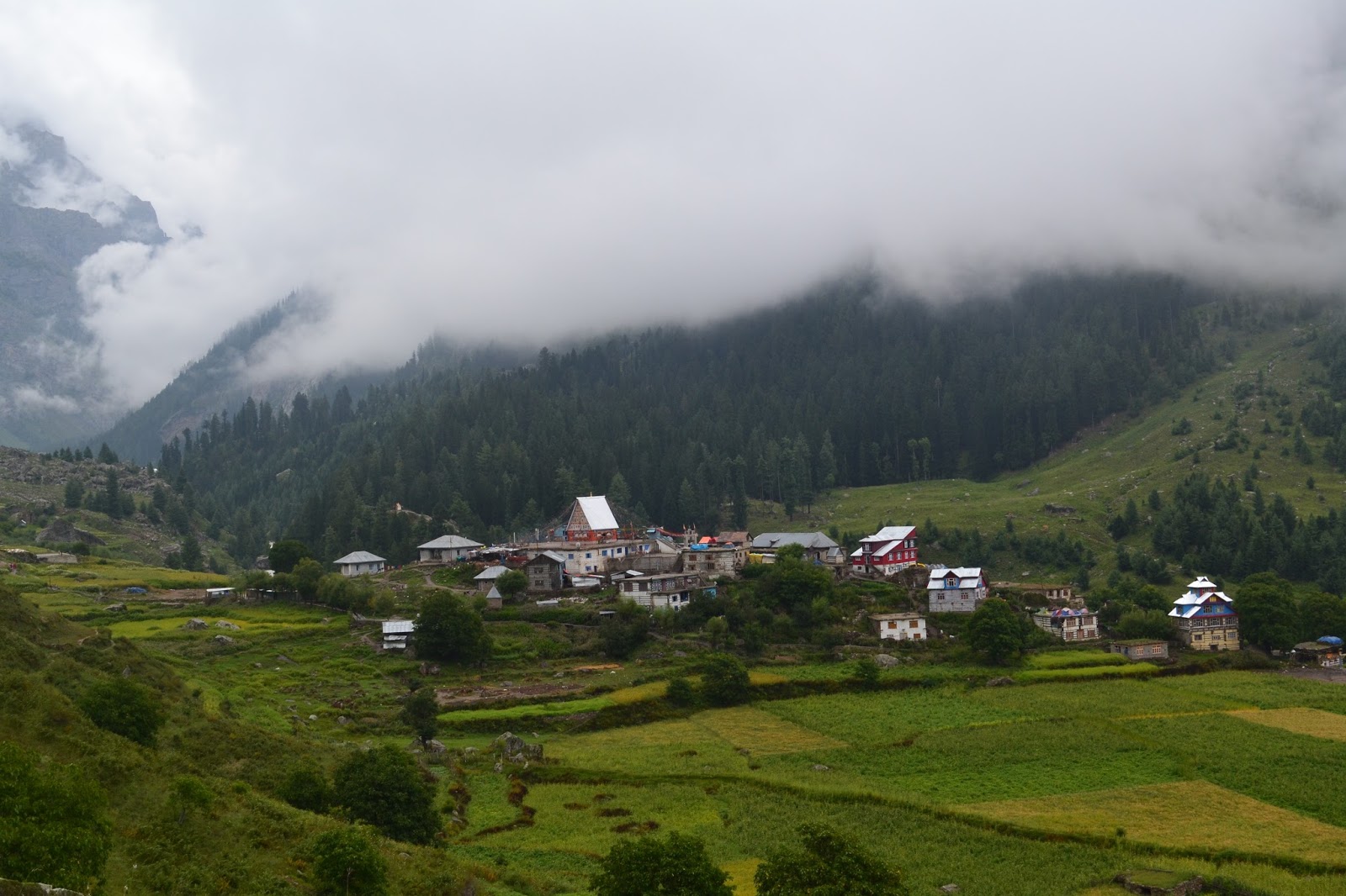 mykishtwar.com: Trip to Sapphire Valley of India (Paddar Kishtwar)
