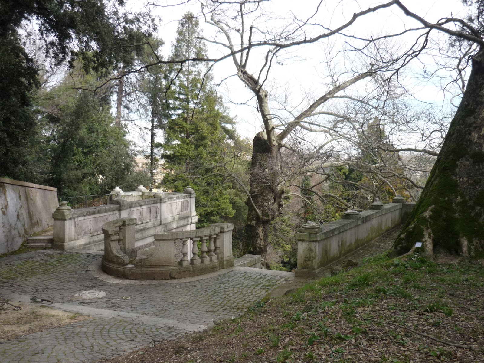 Le jardin botanique de Rome : souvenirs de février 2019