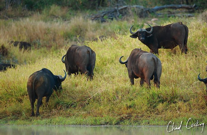 .: 12th June – Not such a bad hangover!