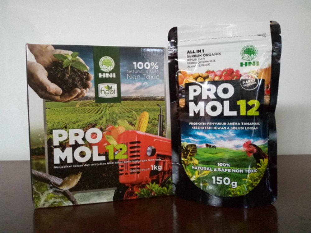 HalalMart HNI Karawang: Apa itu Promol 12