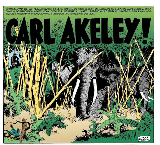 Aquellos inolvidables tebeos...: Carl Akeley ! - Wally Wood ...
