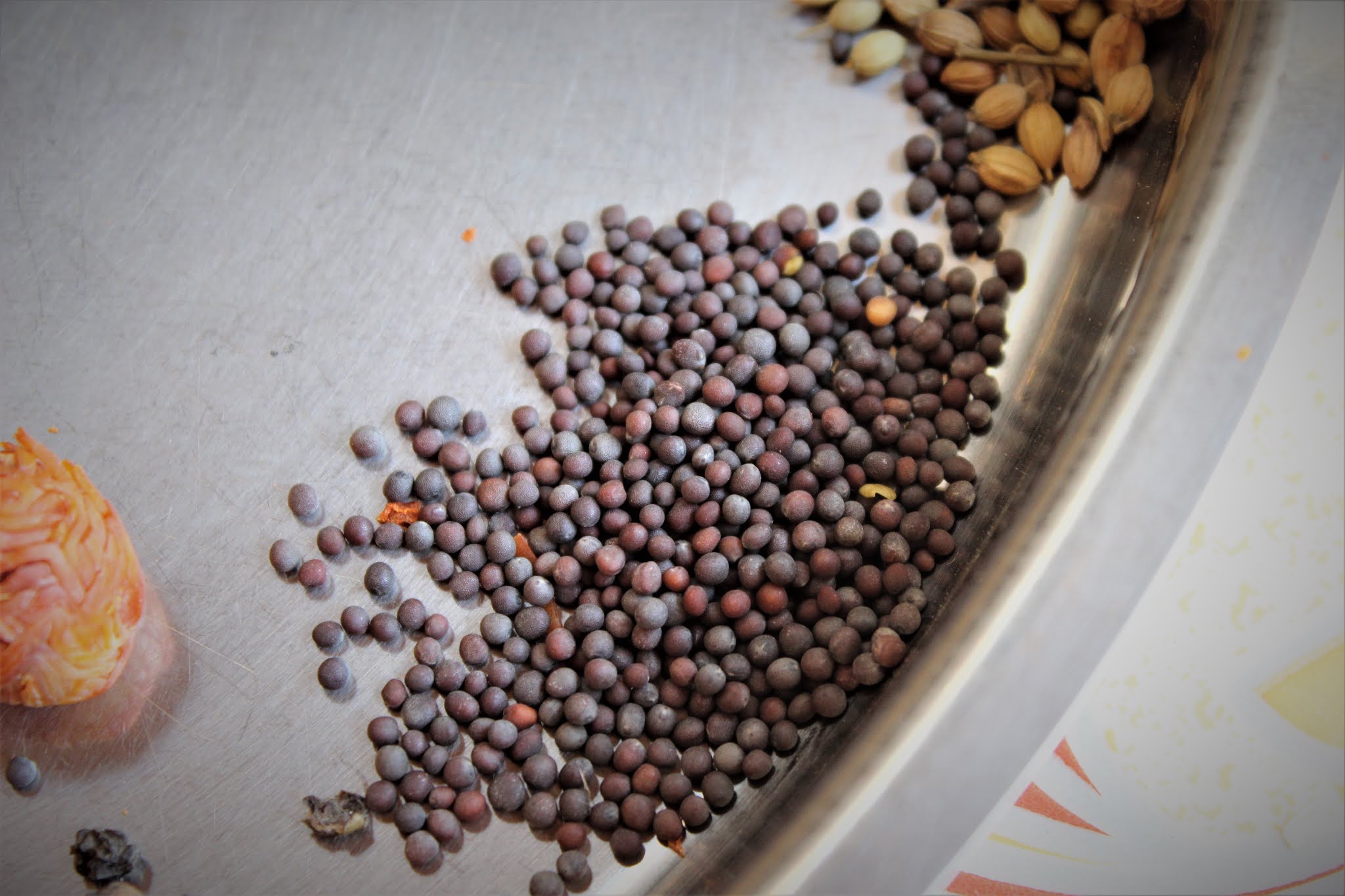 AnnaParabrahma: Rai, Mohri, Sarson, Sorshe, Sasave, Mustard