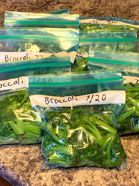 This’N’That Family Farm: Garden Living: Processing Broccoli
