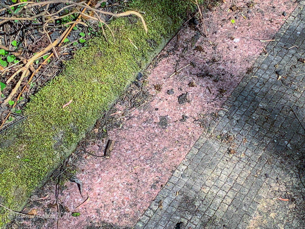 Saltaire Daily Photo: Milner Field, the lost house