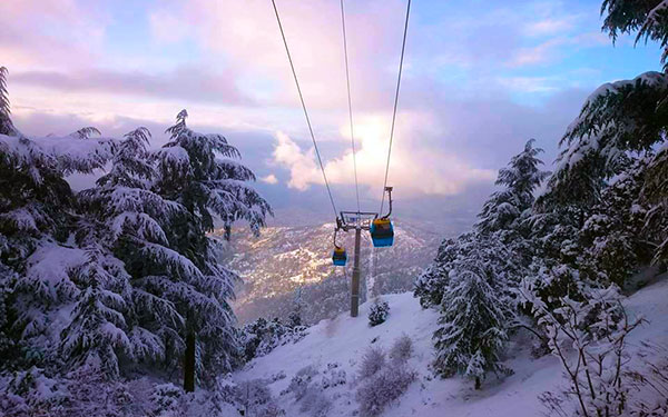 Le Parc National de Chrea - Algeria Gate, Fr