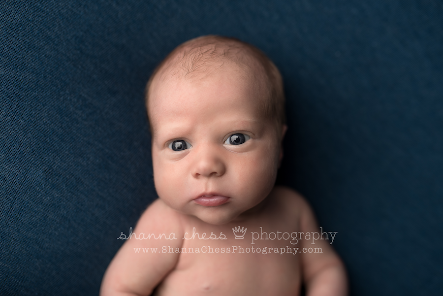 Shanna Chess Photography: Eugene, Oregon newborn photographer: Welcome Sam! Shanna Chess Photography: Eugene, Oregon newborn photographer: Welcome Sam!
