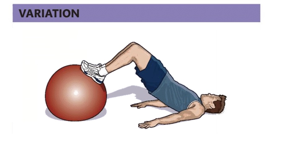 BRIDGE EXERCISE AND VARIATION