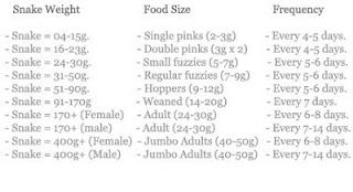 The Joys of Reptile Keeping and Awesome Reptiles: Feeding Guide