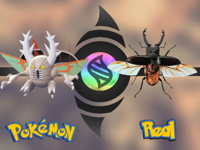 Meet the Real-life Version of your Favourite Bug-type Pokémons here ...