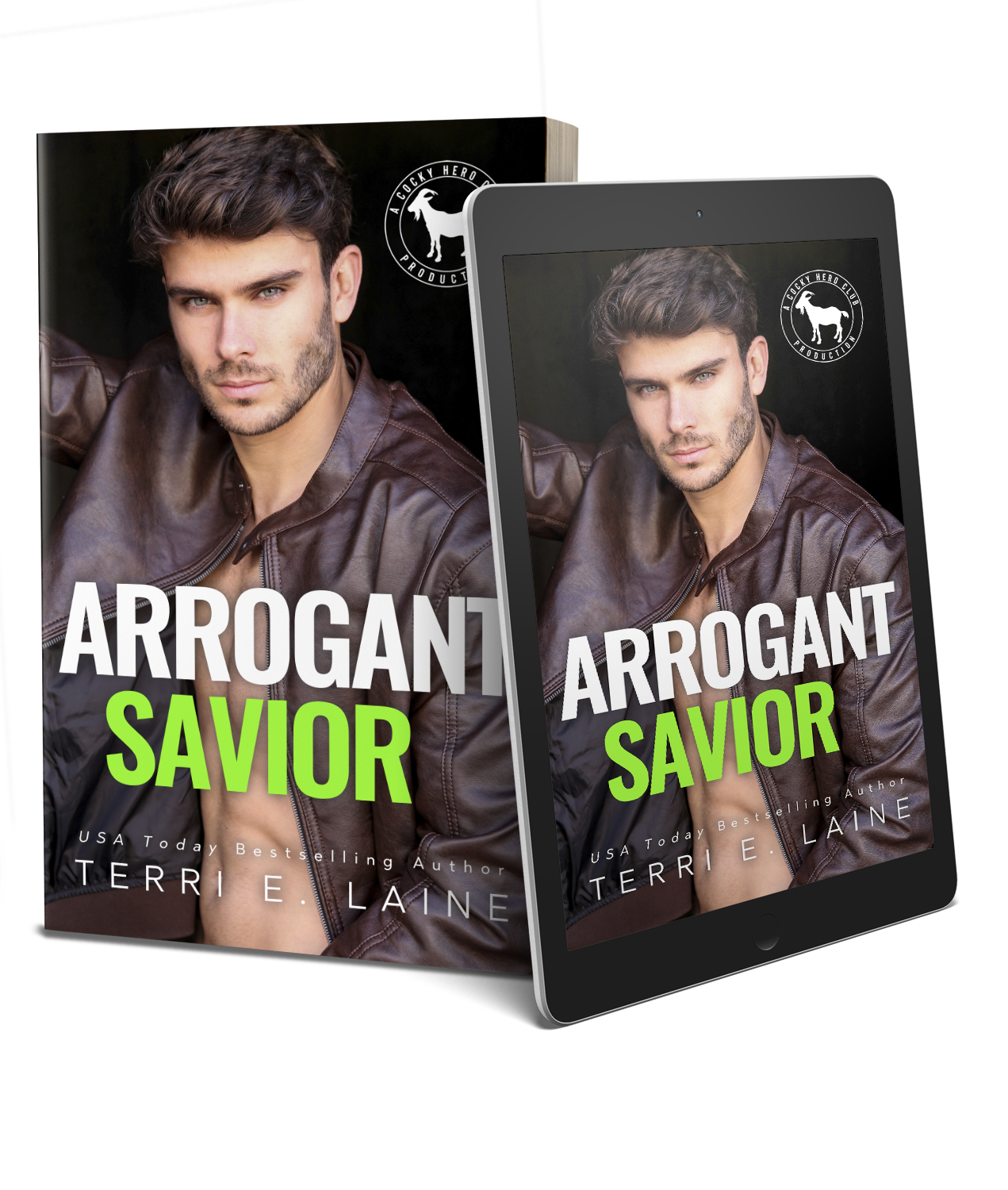 Book boyfriend material - partyopm