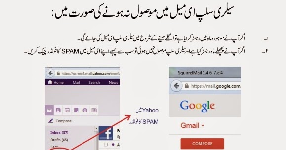 Punjab Education Online Salary Slip Or Payslip 100 Working Check Here punjab-education-online-salary-slip-or-payslip-100-working-check-here