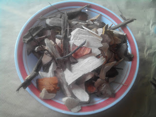 UBAT TRADISIONAL ( AKAR ASLI ): AKAR ASLI UNTUK REBUSAN