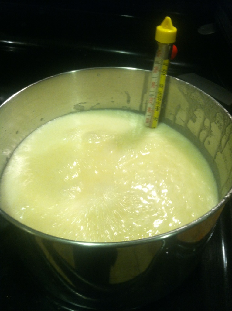 The Gogan Family: Homemade Carmel's