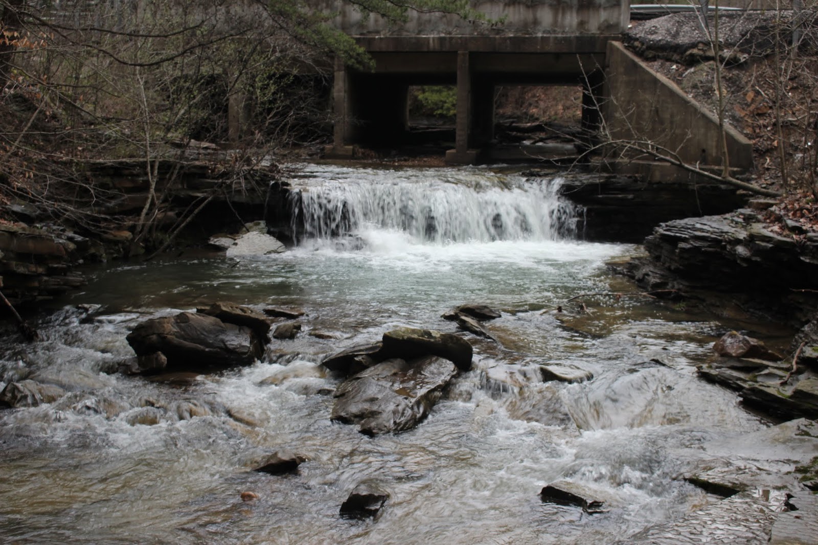 Cumberland Gal: Frozen Head Waterfalls With Grandkids & Daughter