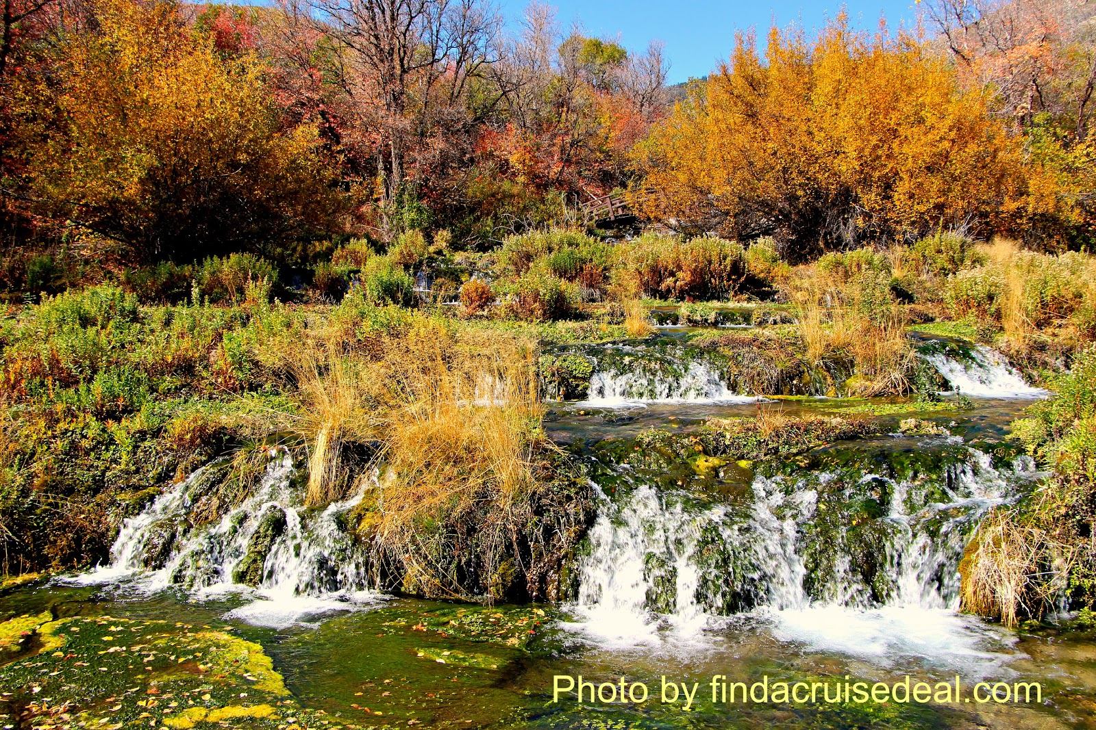 Carl's Cruise Capers and Travel Tips