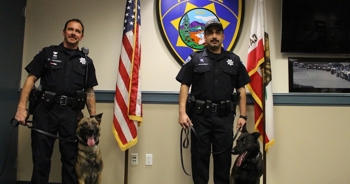 Santa Cruz Police: SCPD is pleased to announce its two new K9 Teams!