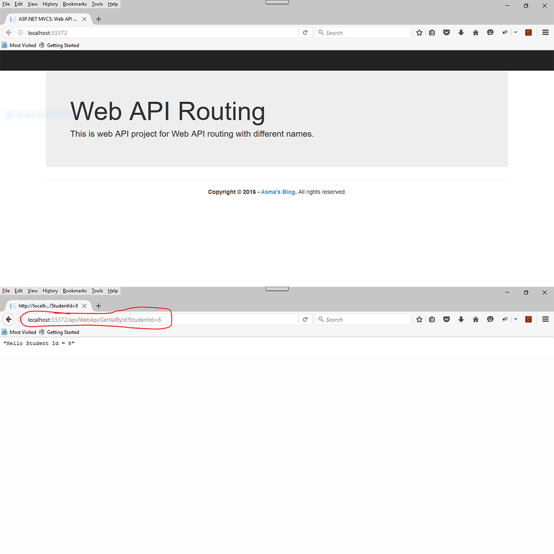 ASP.NET MVC Web API Different Name URL Routing