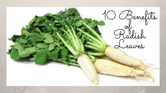 10 Health Benefits of Radish Leaves