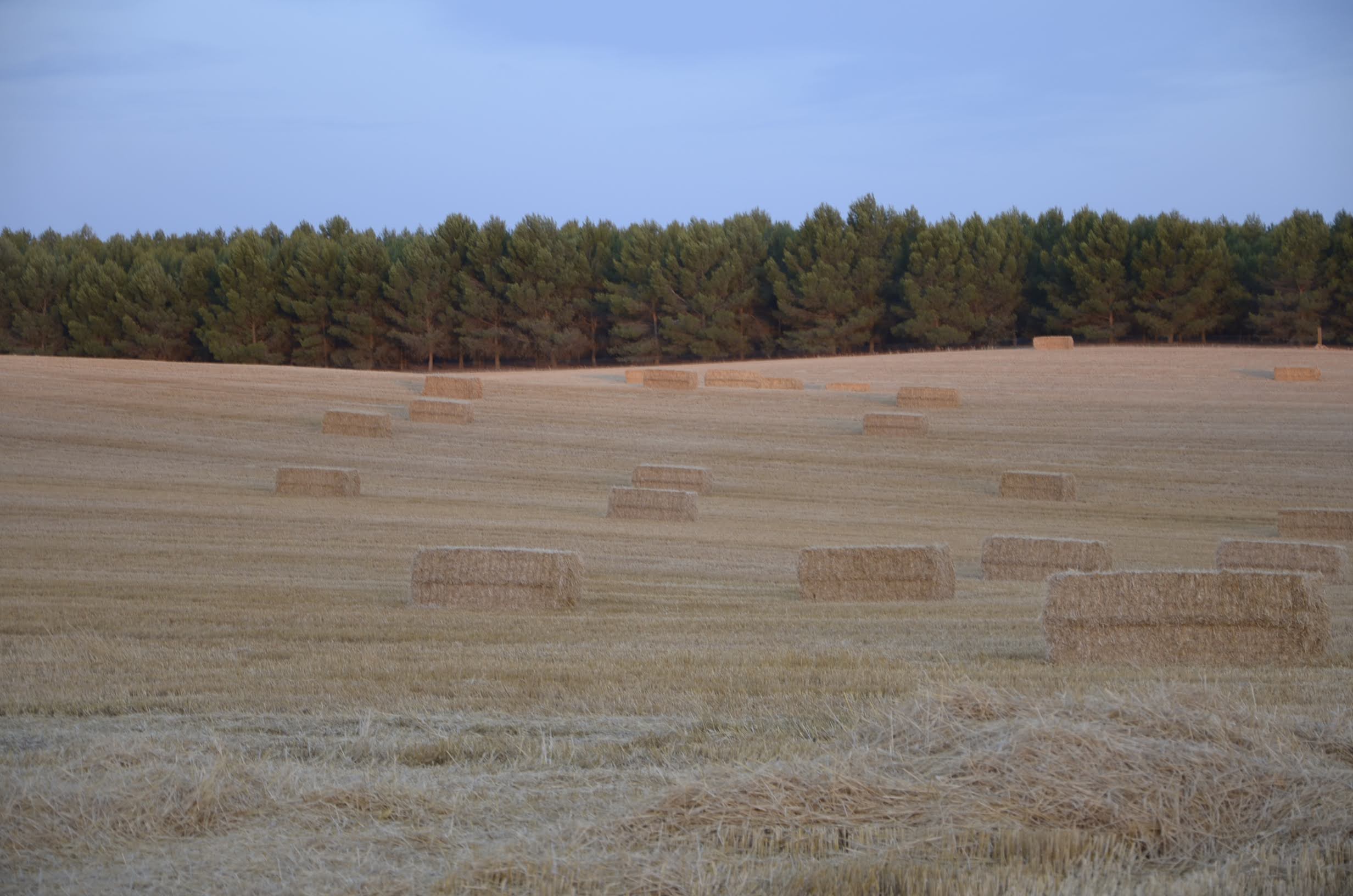 Baling. Bale sizes and density