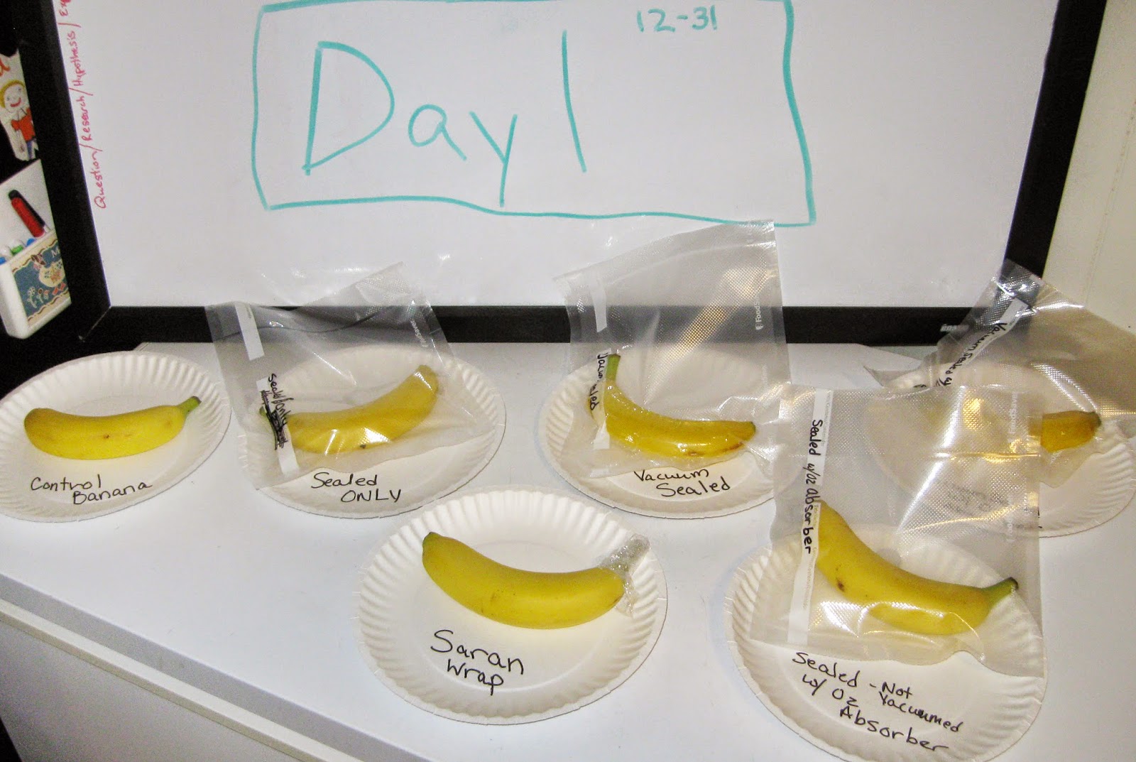 Mad Science Academy: The scientific method - What would be the best way ...