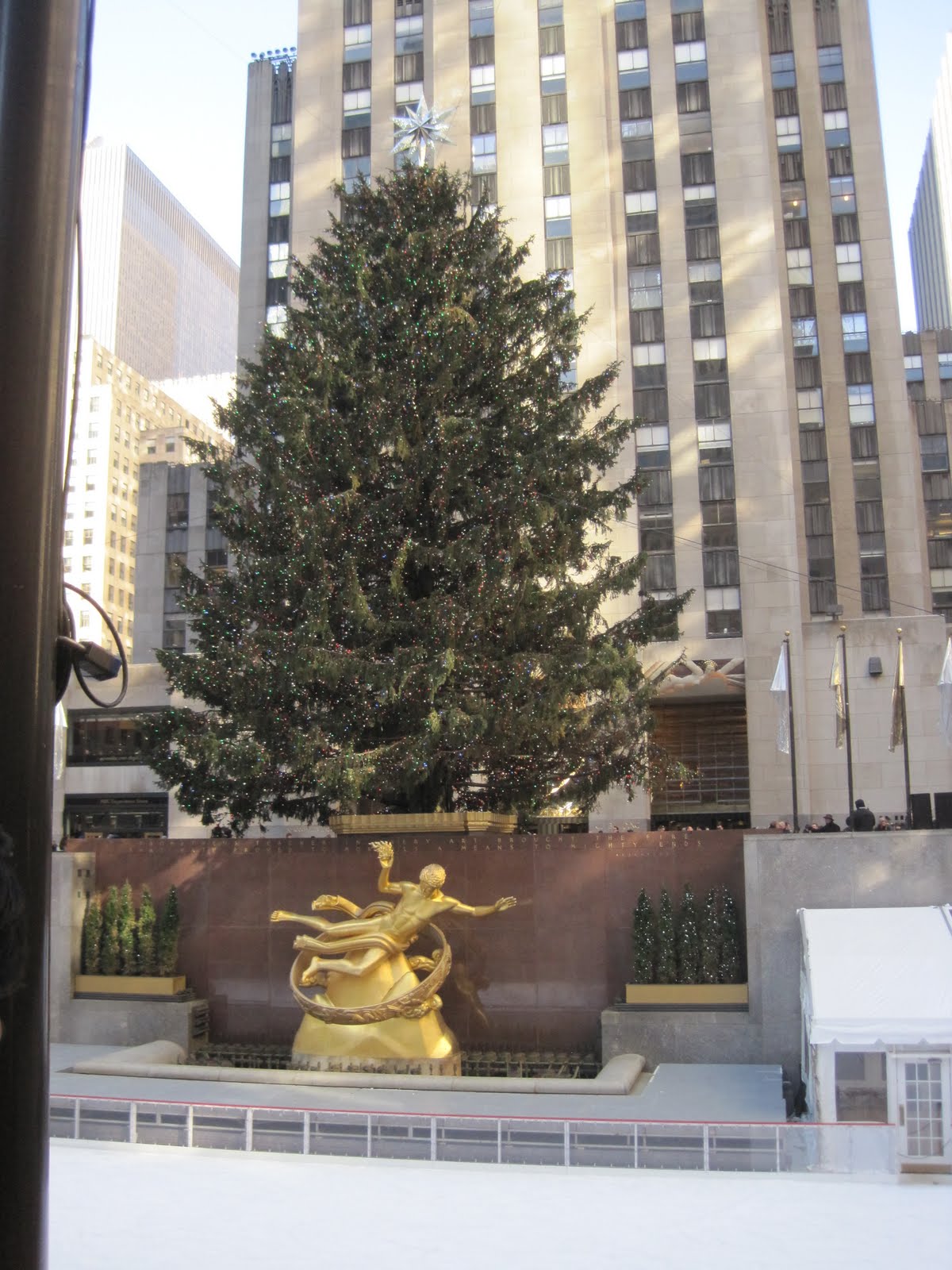 AnnieStyle: Rockefeller Center Tree