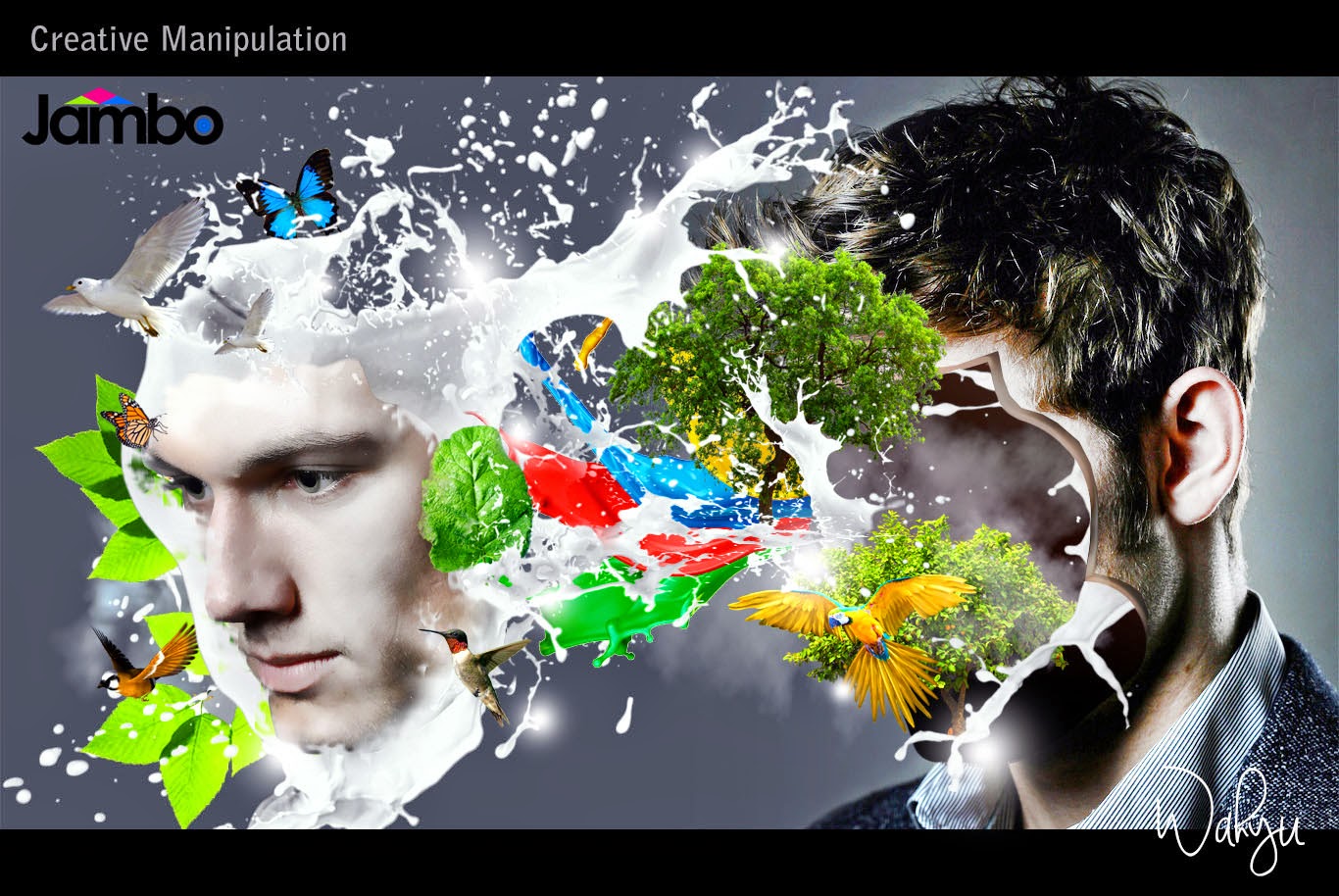 5 Photo Manipulasi
