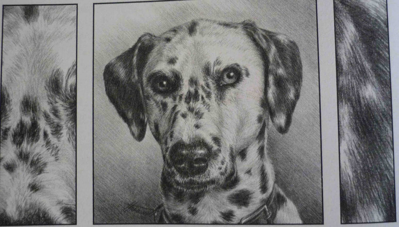 THECREATIVEANYTHINGBLOG: Chapter Sixteen - Capturing Critters in Drawings: